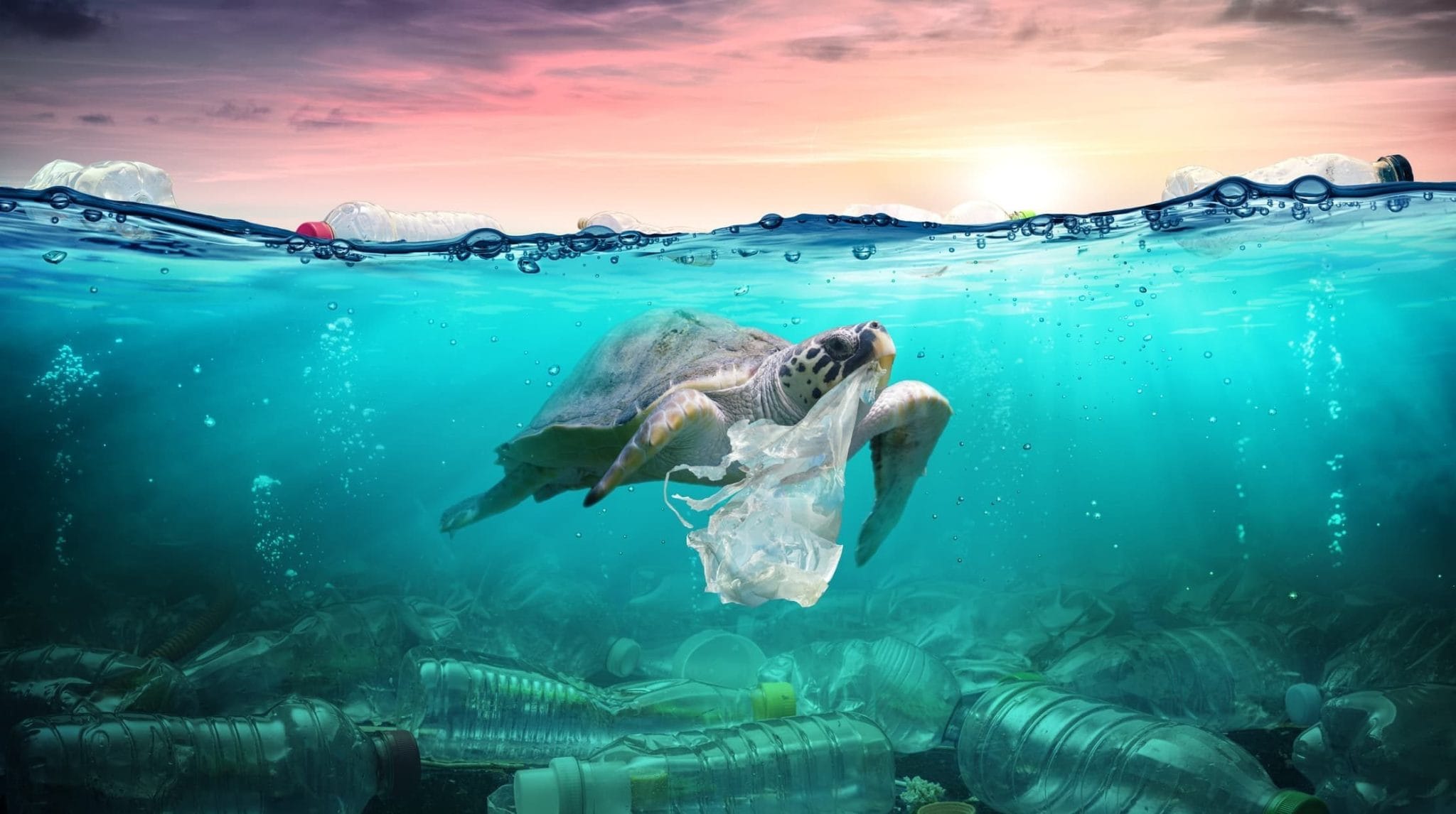 Plastic Free July 2026: July 2026 | Awareness Days