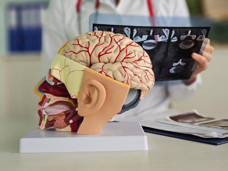 World Brain Day | Awareness Days